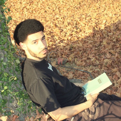 Stream robert ivory music | Listen to songs, albums, playlists for free ...