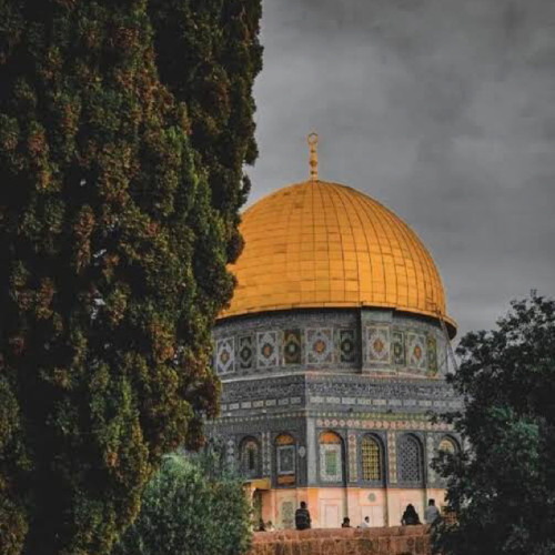 Stream Gonjeshkake Ashi Mashi*ses kaydı by beyzasekin | Listen online ...