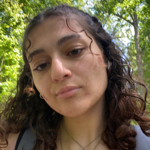 Stream Rachel Papa music | Listen to songs, albums, playlists for free ...