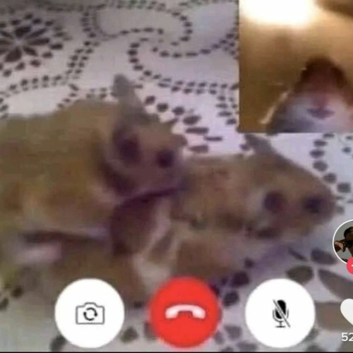 Stream POPA POPA music | Listen to songs, albums, playlists for free on ...