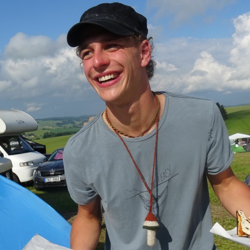 Stream Paul Reingruber music | Listen to songs, albums, playlists for ...