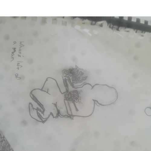 Stream Todd Muirhead music | Listen to songs, albums, playlists for ...