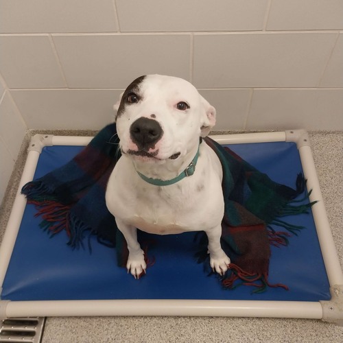 Stream mickel music | Listen to songs, albums, playlists for free on ...