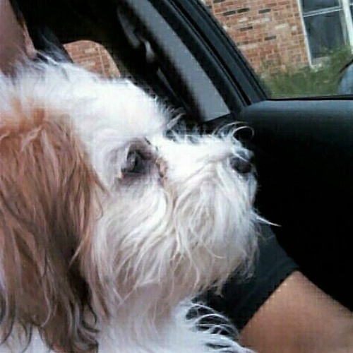 Stream Brandon Duffy music | Listen to songs, albums, playlists for ...