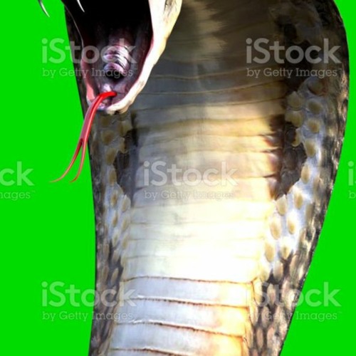 Stream Jake Tasha Rowe music | Listen to songs, albums, playlists for ...