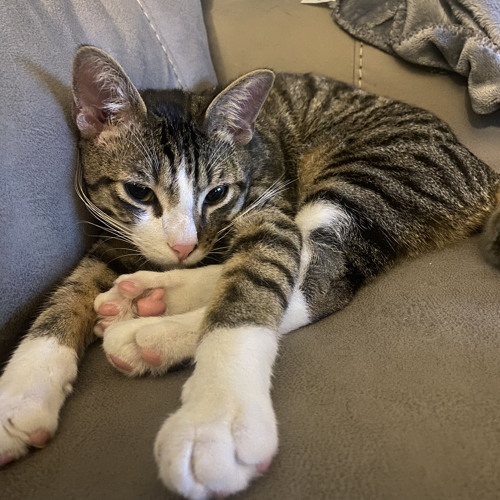 Stream Derek Stenberg music | Listen to songs, albums, playlists for ...