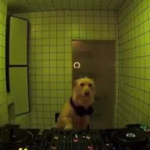 Stream Tom Middleton music | Listen to songs, albums, playlists for ...