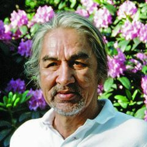 Stream Norval Morrisseau: The Iconic Indigenous Artist by Norval ...