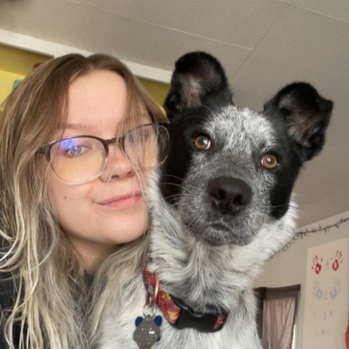 Stream Sierra Hansen music | Listen to songs, albums, playlists for ...