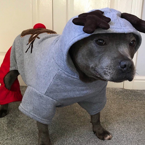 Stream k.9.9.9.M music | Listen to songs, albums, playlists for free on ...