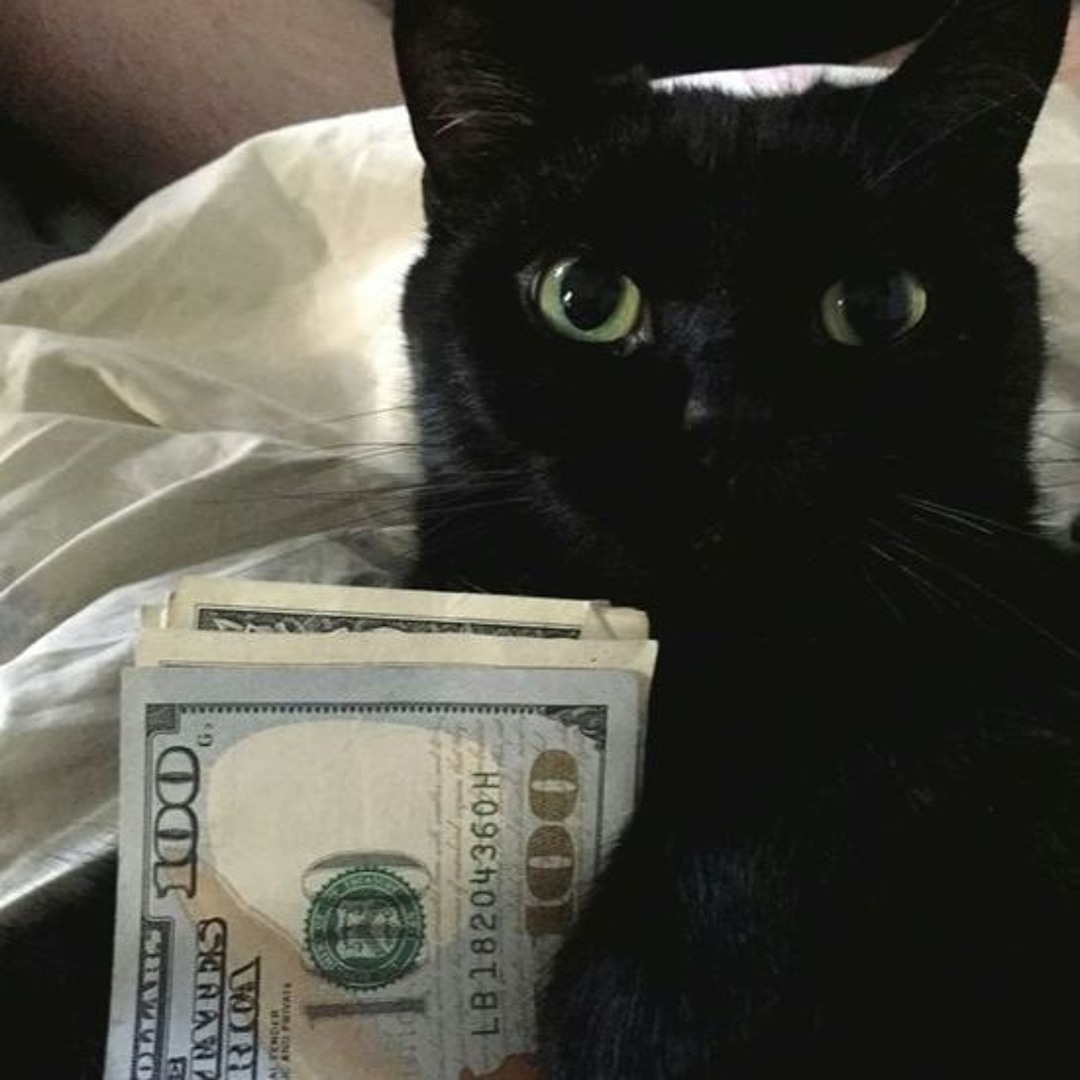 Stream voided | Listen to top hits and popular tracks online for free ...