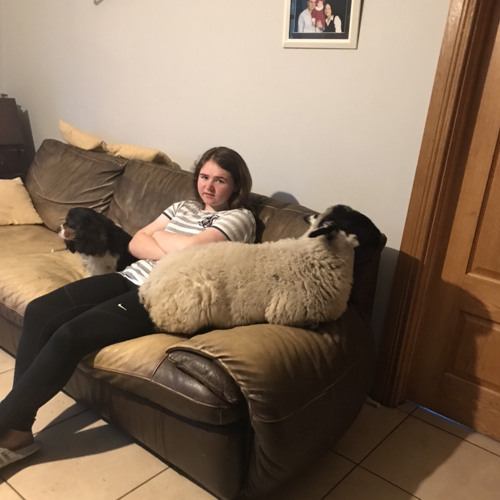 Stream Leah Foley music | Listen to songs, albums, playlists for free ...