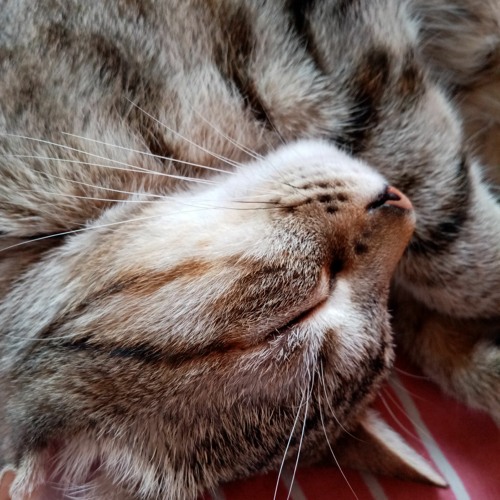 Stream ______ music | Listen to songs, albums, playlists for free on ...