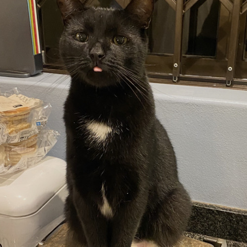 Stream Sean Augustyn music | Listen to songs, albums, playlists for ...