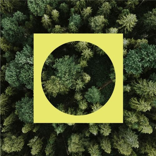 Stream Portal Bosque music | Listen to songs, albums, playlists for ...