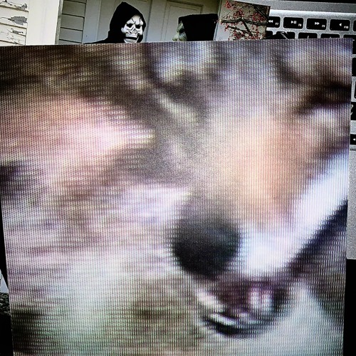 Stream Ms. behave music | Listen to songs, albums, playlists for free ...