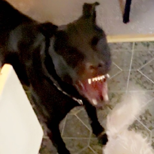 Stream T4Y music | Listen to songs, albums, playlists for free on ...