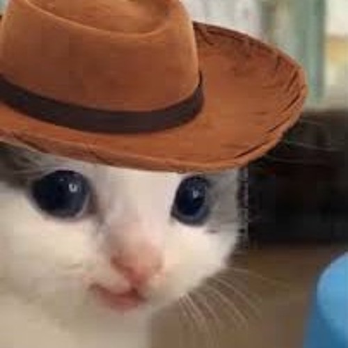 Stream Cowboy cat ;) music | Listen to songs, albums, playlists for ...