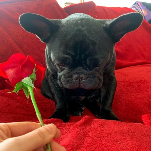 Stream mixq music | Listen to songs, albums, playlists for free on SoundCloud