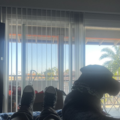 Stream CHIMNEY BOY music | Listen to songs, albums, playlists for free ...