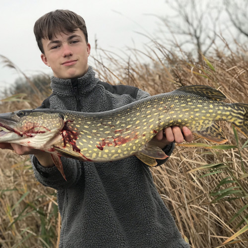 Stream Jarne music | Listen to songs, albums, playlists for free on ...