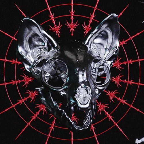 Stream Darci music | Listen to songs, albums, playlists for free on ...