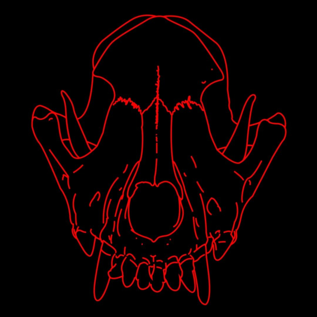 Stream Pulp - Common People (Red Stoned Dog Remix) by Red Stoned Dog ...