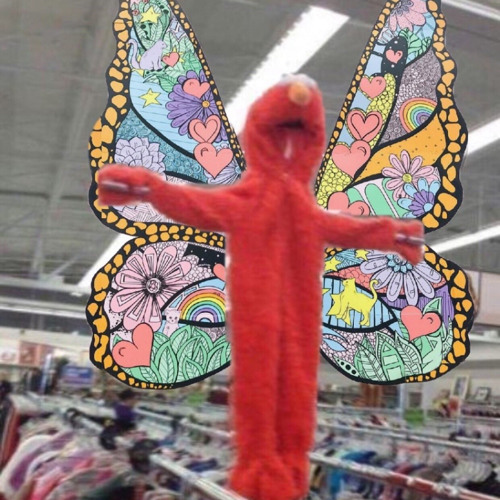 Stream Isabella music | Listen to songs, albums, playlists for free on ...