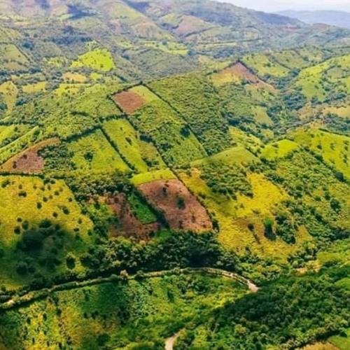 Stream capi music | Listen to songs, albums, playlists for free on ...