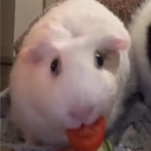 Stream OSI music | Listen to songs, albums, playlists for free on ...