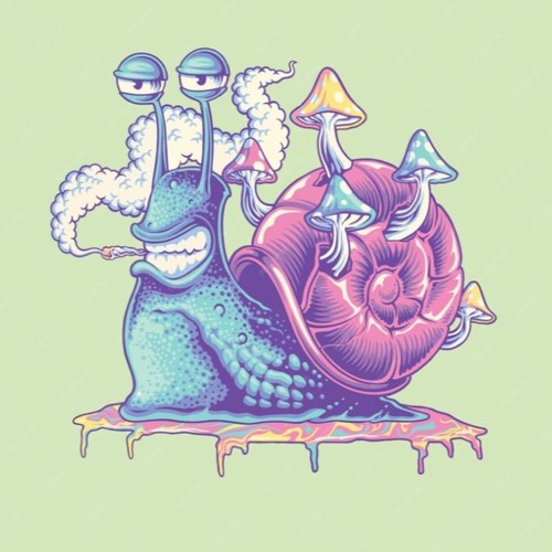 Stream Señor Snail™ music | Listen to songs, albums, playlists for free ...