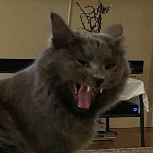 Stream db music | Listen to songs, albums, playlists for free on SoundCloud