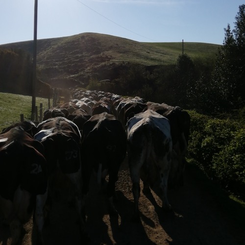 Stream Reece Foster music | Listen to songs, albums, playlists for free ...