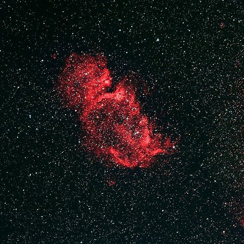 Stream OBRHRDT GANG music | Listen to songs, albums, playlists for free ...