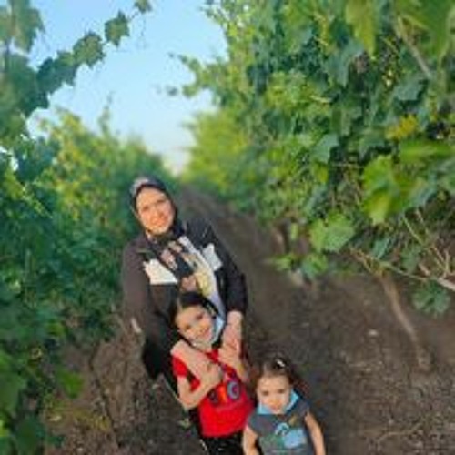 Stream Samar Samir music | Listen to songs, albums, playlists for free ...