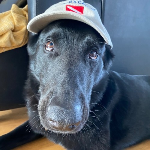 Stream alex jasper music | Listen to songs, albums, playlists for free ...