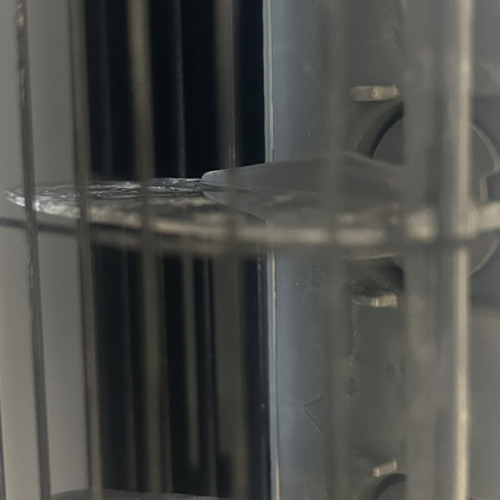 Stream Cory Major music | Listen to songs, albums, playlists for free ...