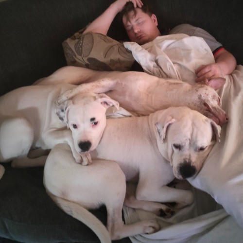 Stream benjamin hetherington music | Listen to songs, albums, playlists ...