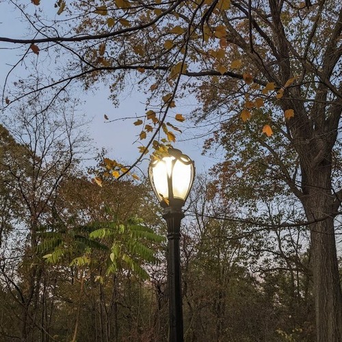 Stream Moon Bear Square music | Listen to songs, albums, playlists for free on SoundCloud