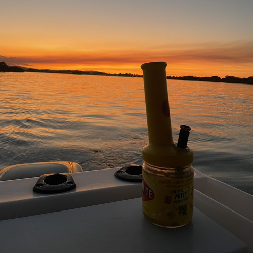 Stream phoenix moy music | Listen to songs, albums, playlists for free ...