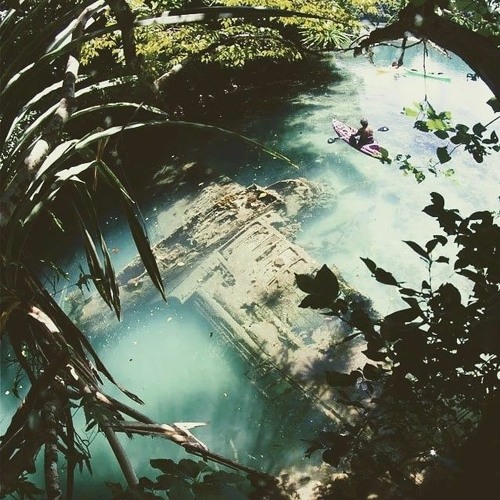 Stream Sharashka music | Listen to songs, albums, playlists for free on ...