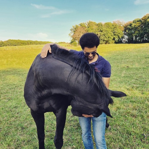 Stream Mostafa Elaraby music | Listen to songs, albums, playlists for ...