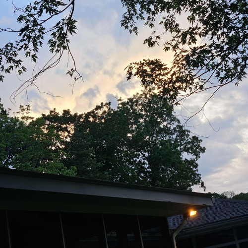 Stream Box Fans 4 Life music | Listen to songs, albums, playlists for ...