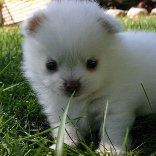 Stream keii music | Listen to songs, albums, playlists for free on ...