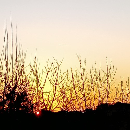 Stream Mirko Hawk music | Listen to songs, albums, playlists for free ...