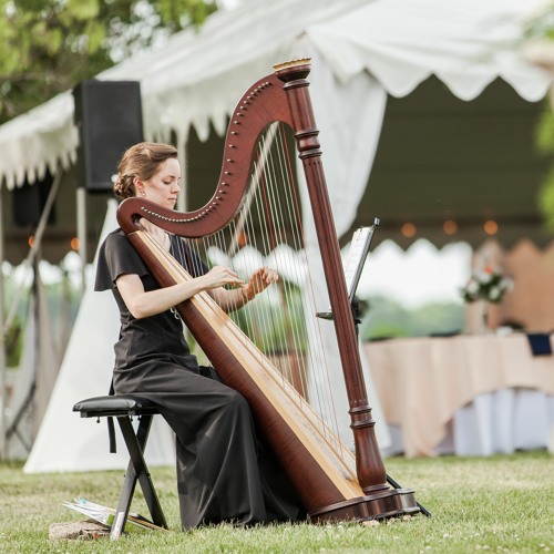 Stream Emily Lewis, Harpist music | Listen to songs, albums, playlists ...