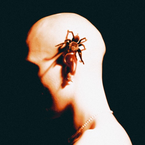 Stream Distorted Angels music | Listen to songs, albums, playlists for ...