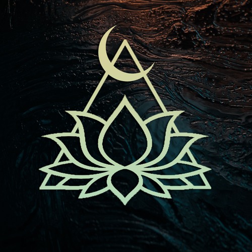 Stream Nocturnal Lotus Collective music | Listen to songs, albums ...