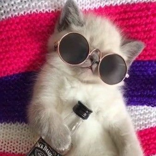 Stream Cutie 🌚 music | Listen to songs, albums, playlists for free on SoundCloud