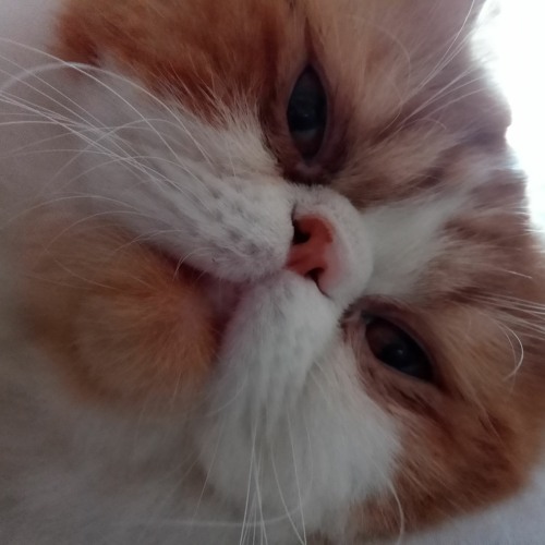 Stream GTA 3 - MSX FM Aquasky + Timecode - "Spectre" by Gamer YT ...